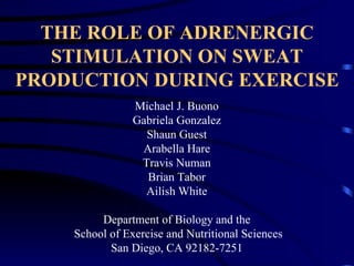 Adrenergic Presentation | PPT