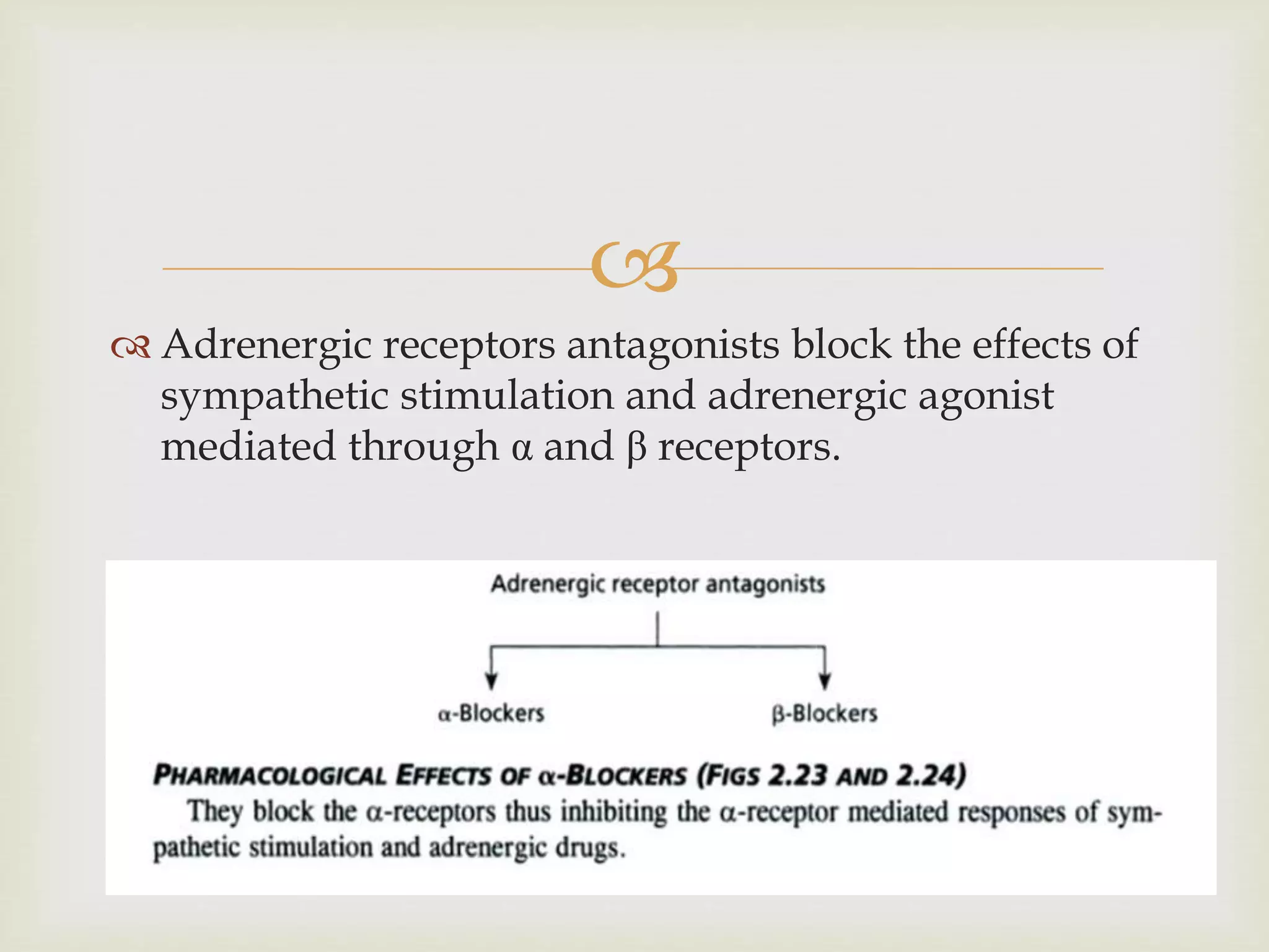 Adrenergic Receptor Blockers | PPT