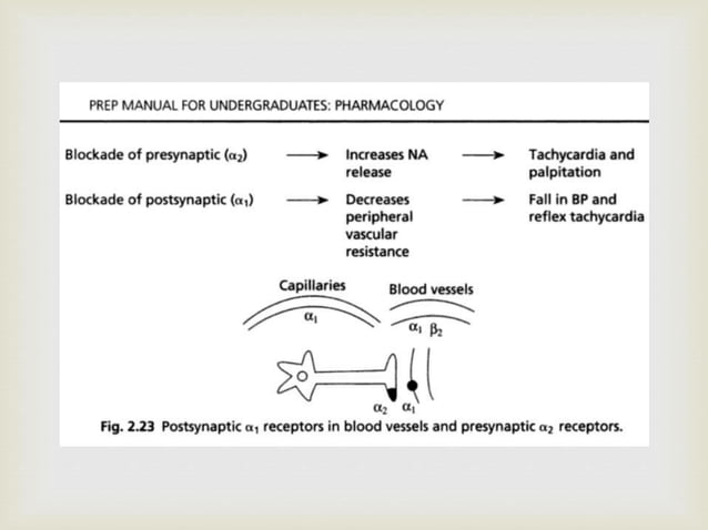 Adrenergic Receptor Blockers | PPT