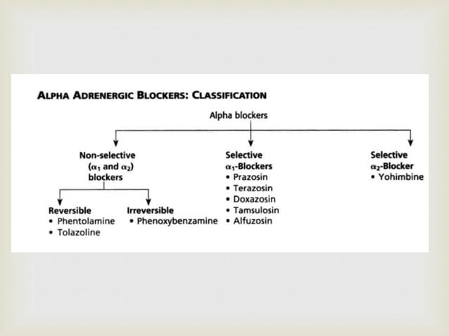 Adrenergic Receptor Blockers | PPT
