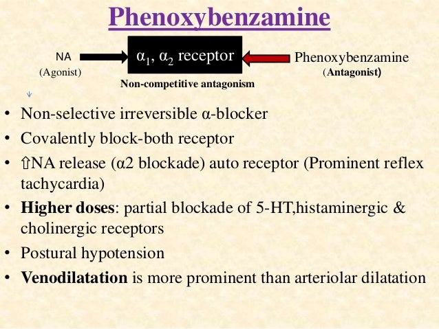 Adrenergic receptor blockers | PPT | Heart and Cardiovascular Diseases ...