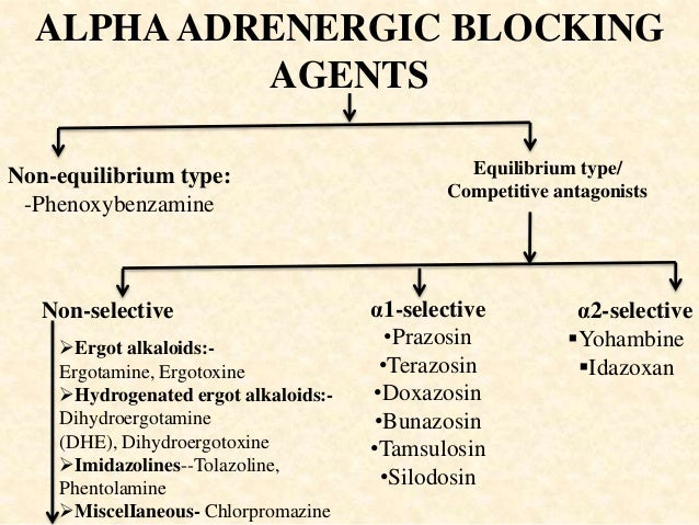 Adrenergic receptor blockers | PPT | Heart and Cardiovascular Diseases | Diseases and Conditions