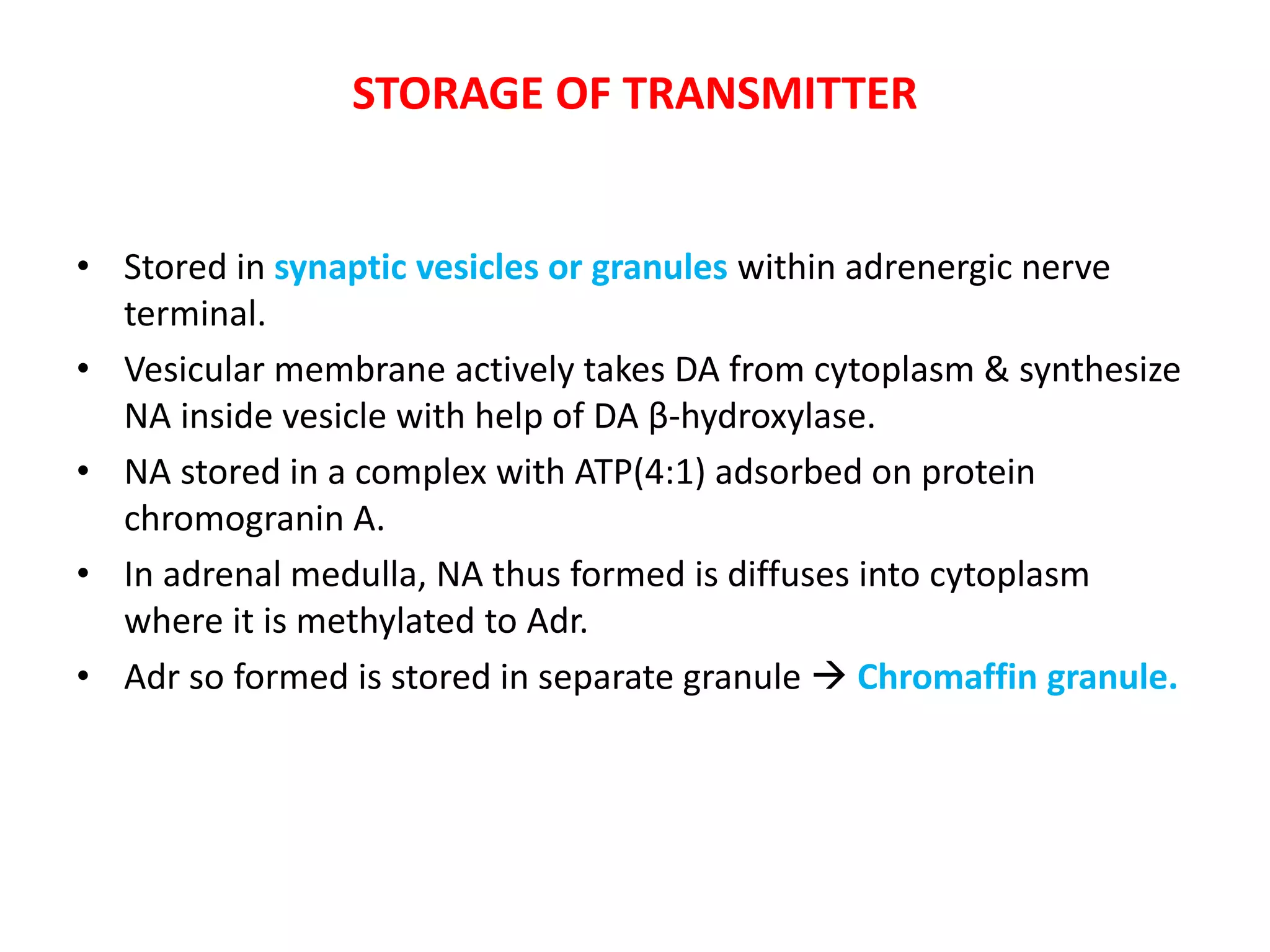 Adrenergic receptors and its modulators | PPTX