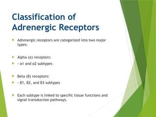 Adrenergic_Receptors_Enhanced_15_Slides[2].pptx