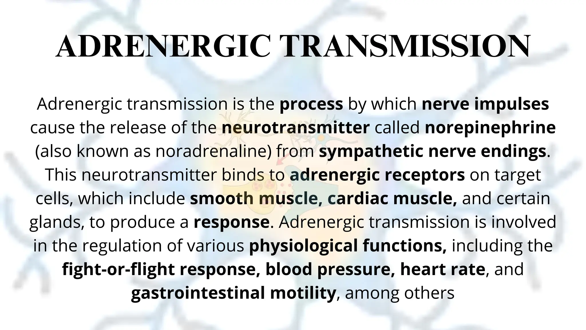 Adrenergic Receptor, Transmission and Drugs Pharmacology 1.pptx