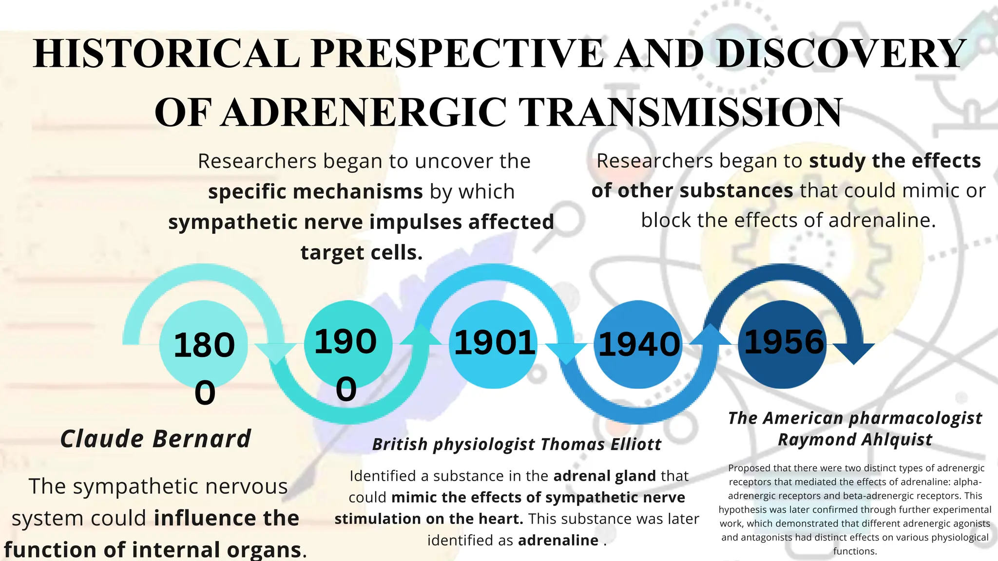 Adrenergic Receptor, Transmission and Drugs Pharmacology 1.pptx