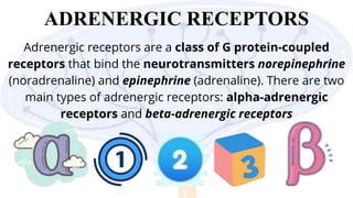 Adrenergic Receptor, Transmission and Drugs Pharmacology 1.pptx