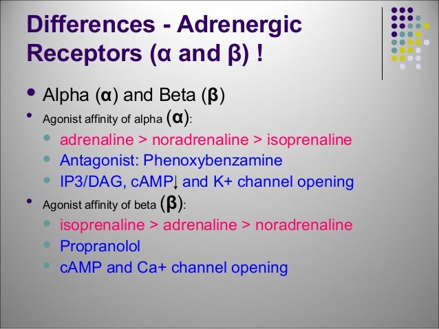 Alpha And Beta Adrenergic Receptors