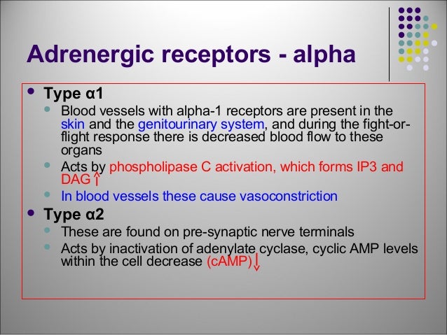 Adrenergic Drugs - drdhriti