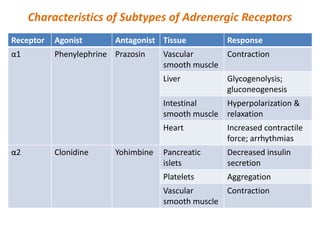 Adrenergic system | PPTX