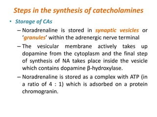 Adrenergic system | PPTX