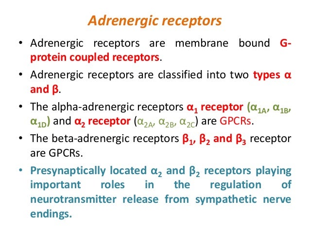 Adrenergic system