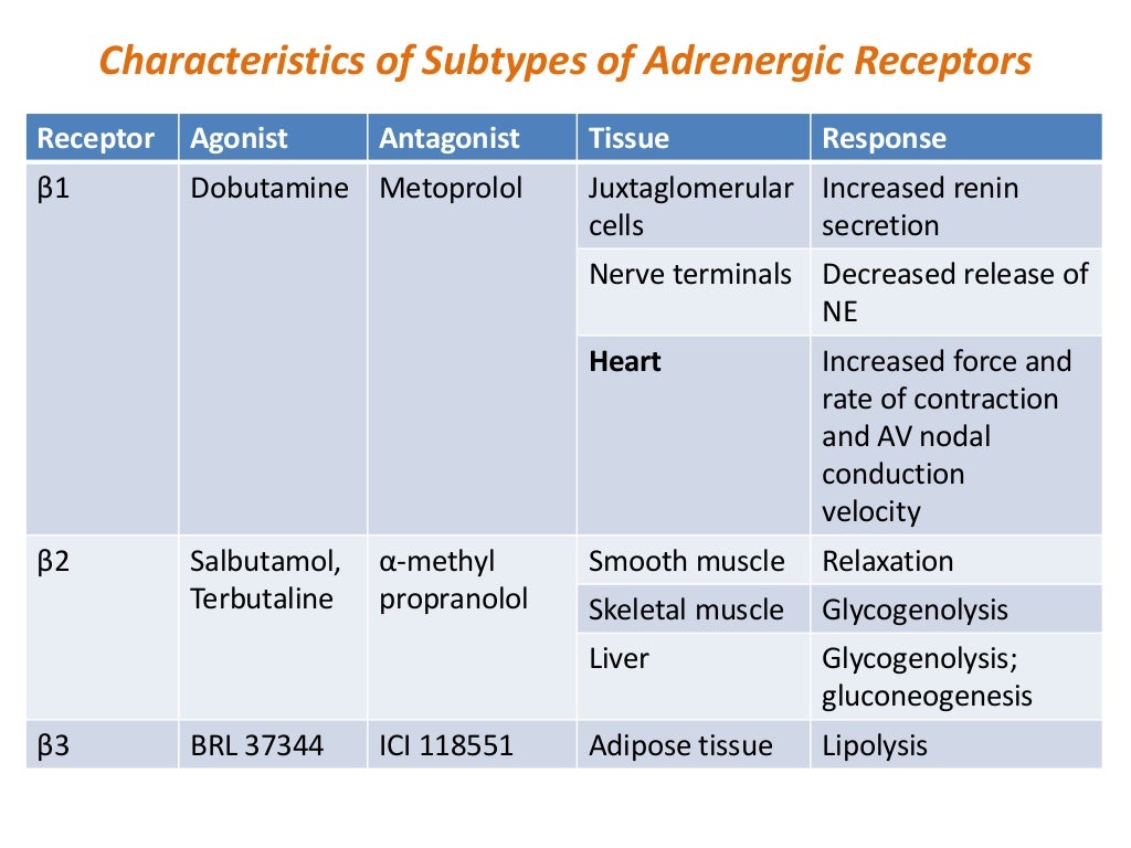 Adrenergic system
