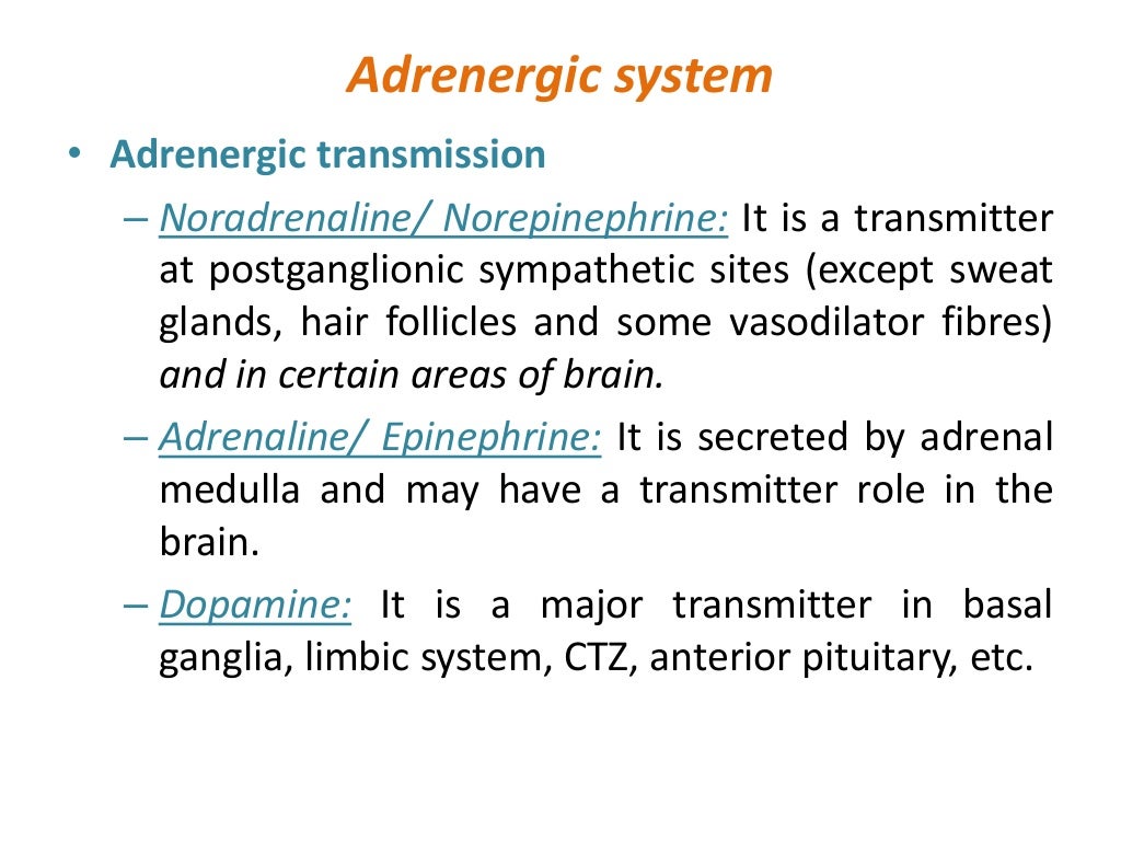 Adrenergic system