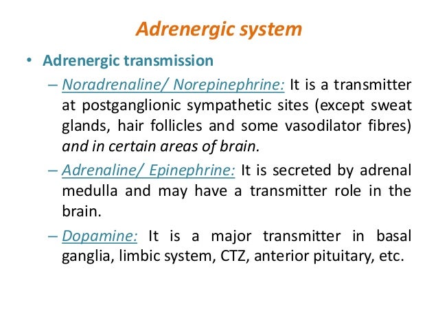 Adrenergic system