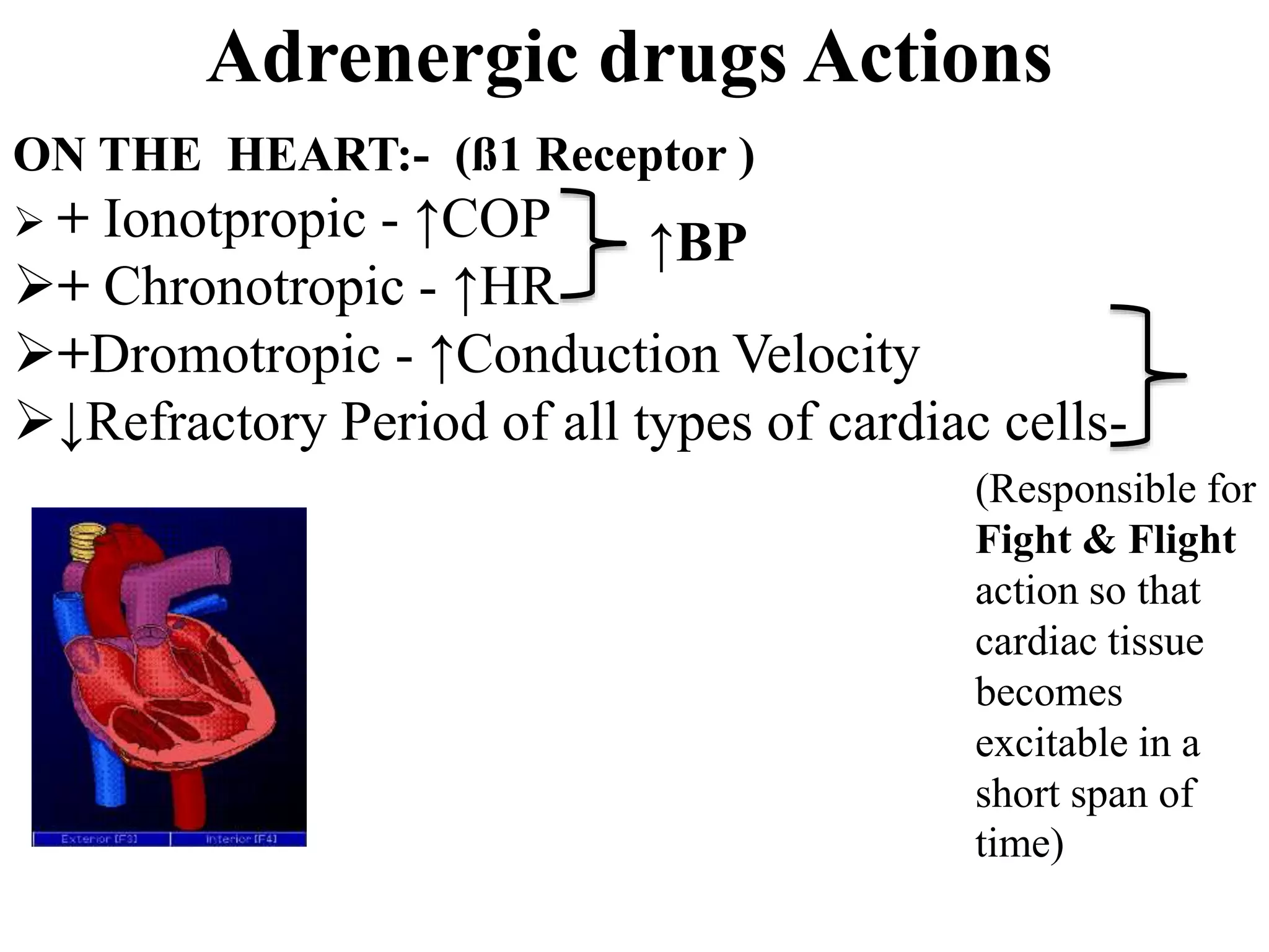 Adrenergic system | PPTX