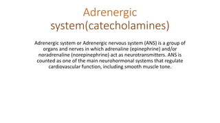 Adrenergic system | PPT