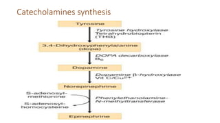 Adrenergic system | PPT