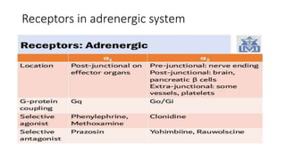 Adrenergic system | PPT