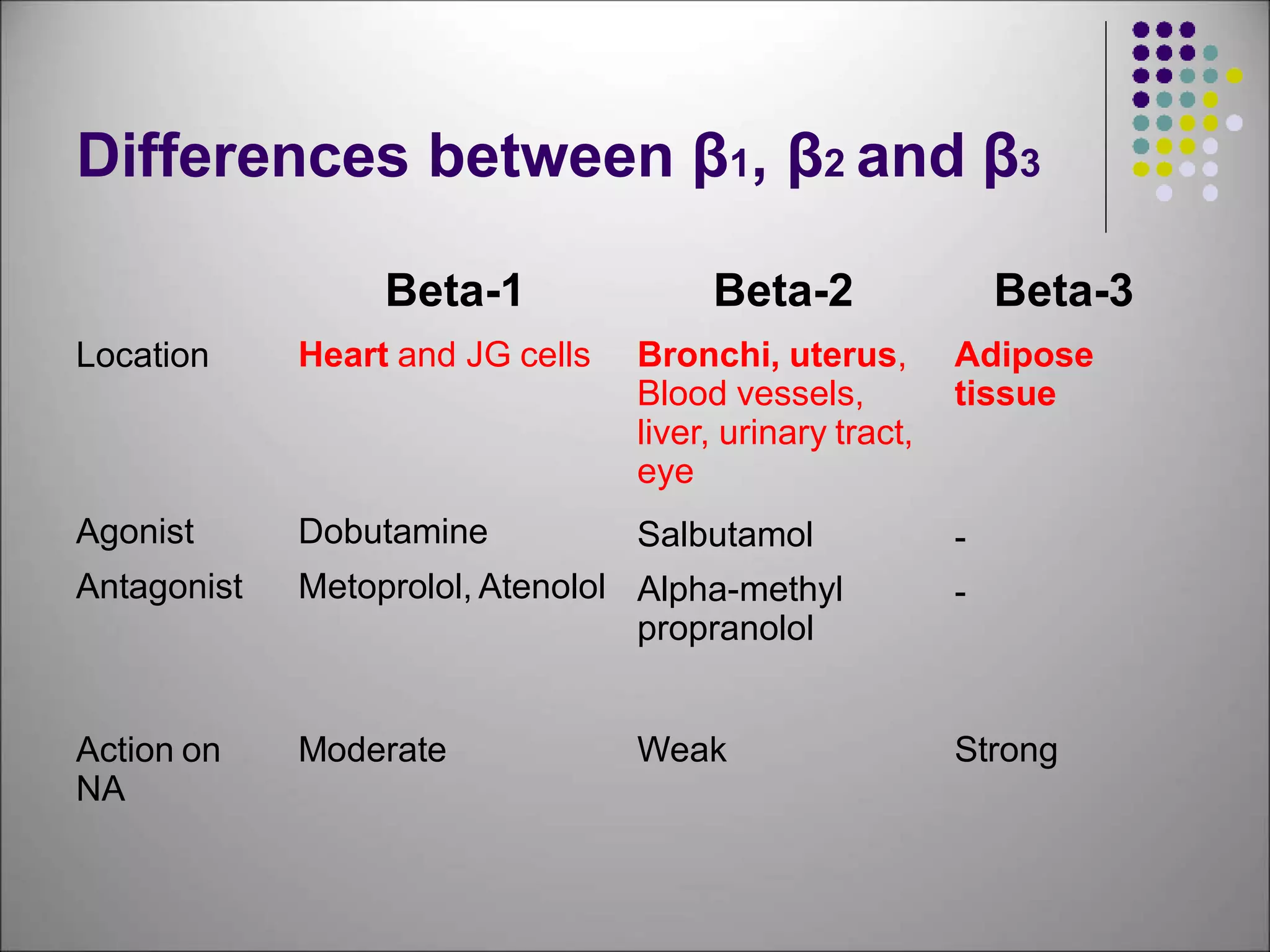 Adrenergic system.pptx