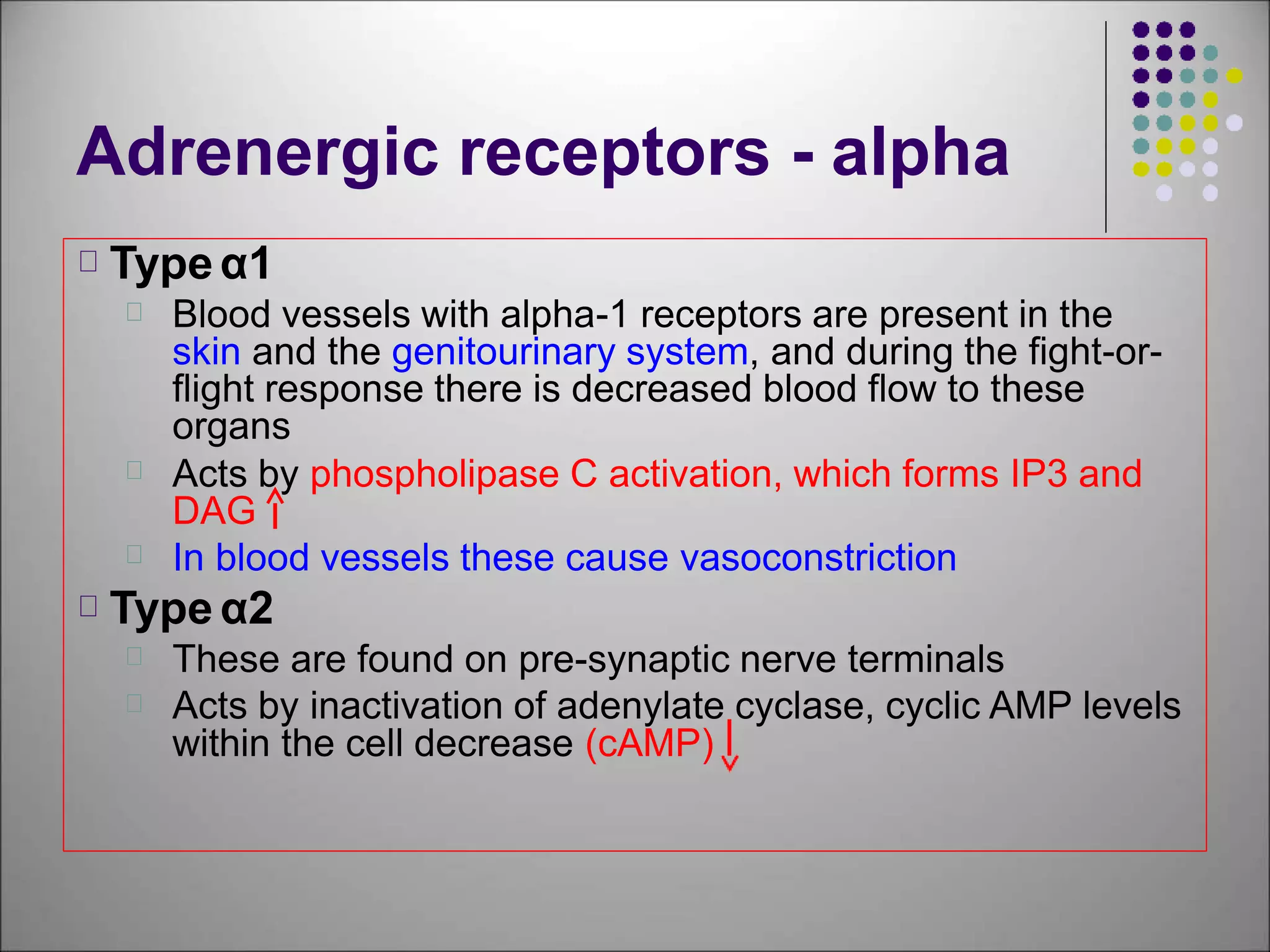 Adrenergic system.pptx