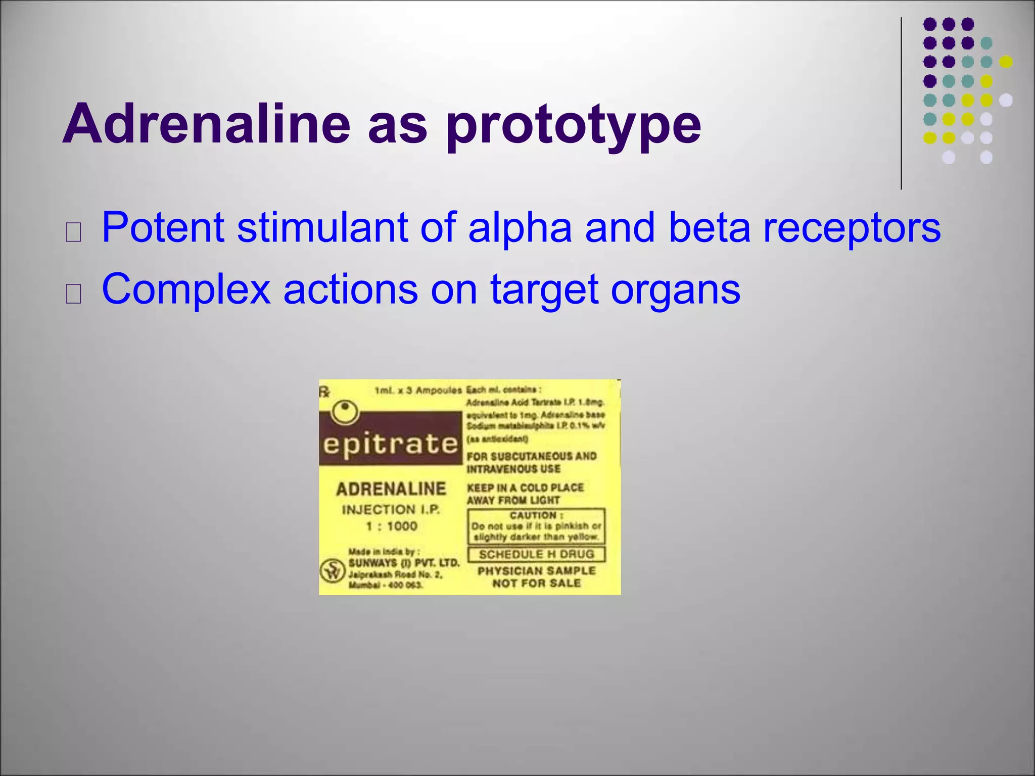 Adrenergic system.pptx