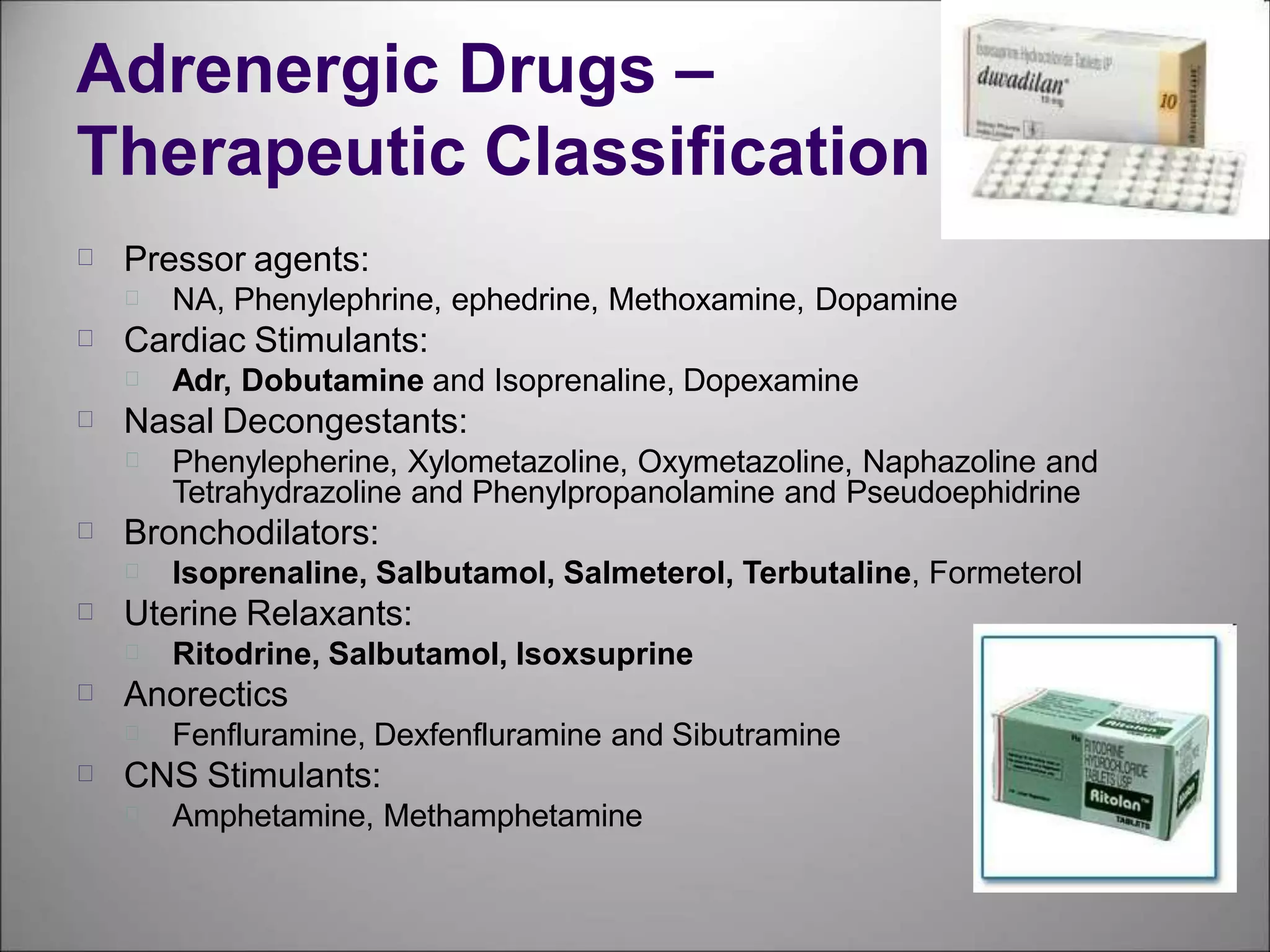Adrenergic system.pptx