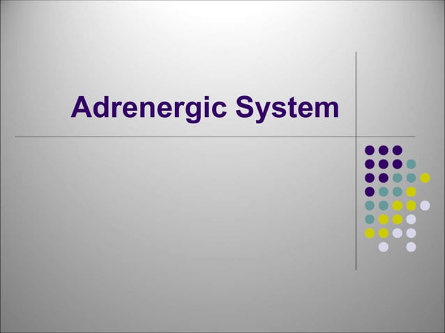 Adrenergic system.pptx