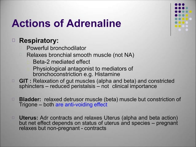 Adrenergic system.pptx