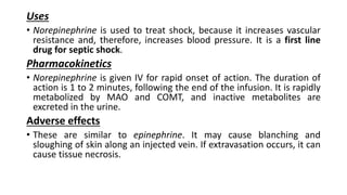 Adrenergic System.pptx