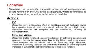 Adrenergic System.pptx