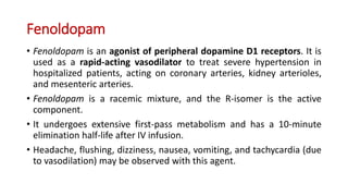 Adrenergic System.pptx