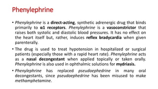 Adrenergic System.pptx