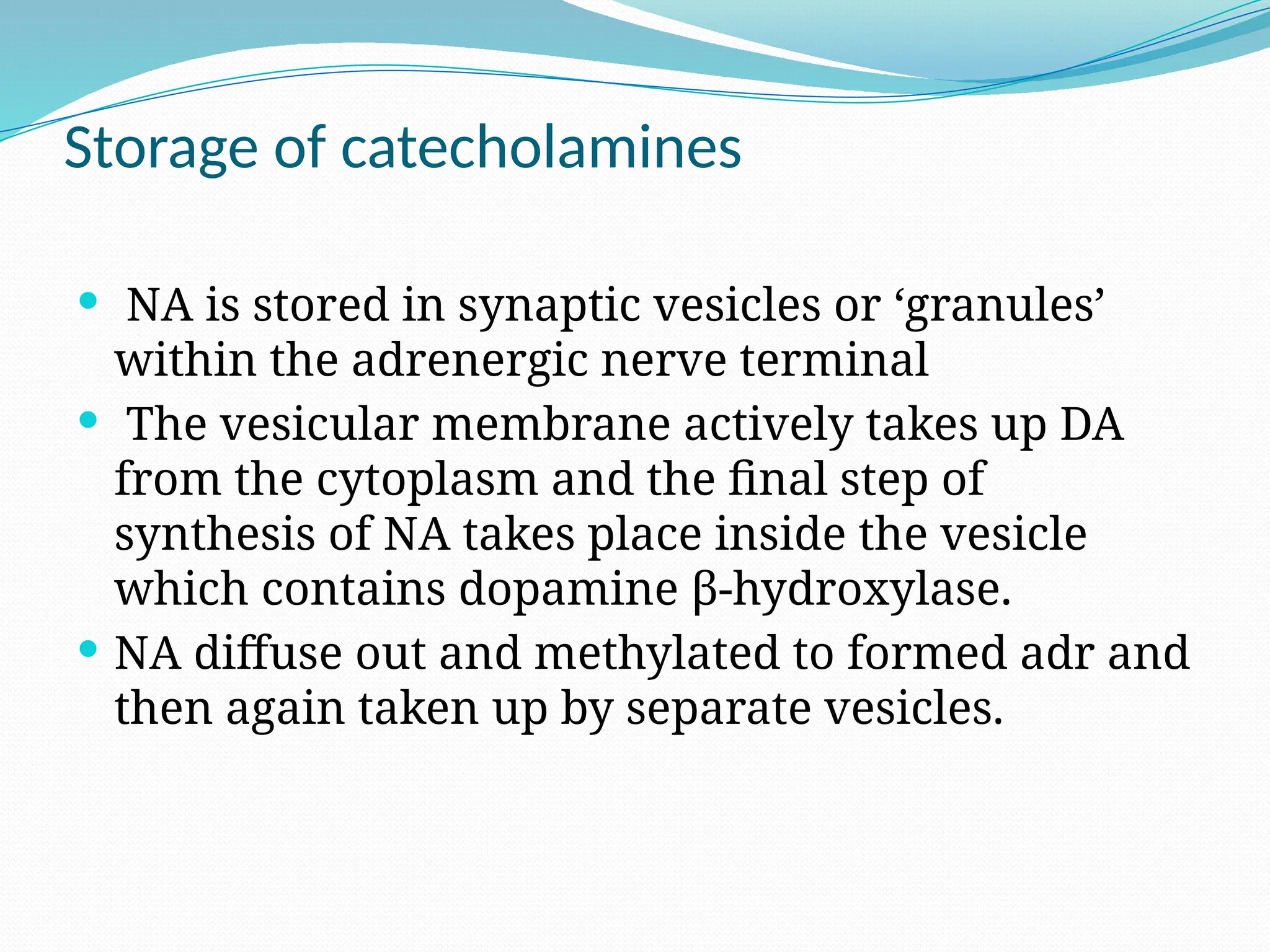 ADRENERGIC SYSTEM.pptxibubyhug6hihubunuhub | PPTX