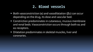 Adrenergic system and drugs | PPTX