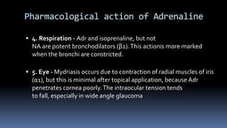 Adrenergic system and drugs | PPTX
