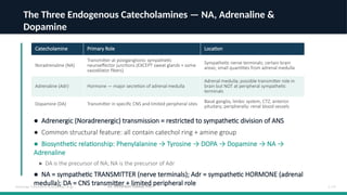 Overview of Adrenergic Transmission and Sympathomimetic Drugs | PPTX