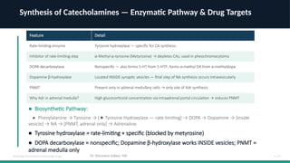 Overview of Adrenergic Transmission and Sympathomimetic Drugs | PPTX