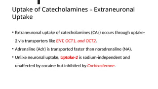 Adrenergic Transmission Edit, Pharmacology | PPT