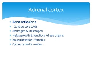 ADRENAL GLAND | PPT