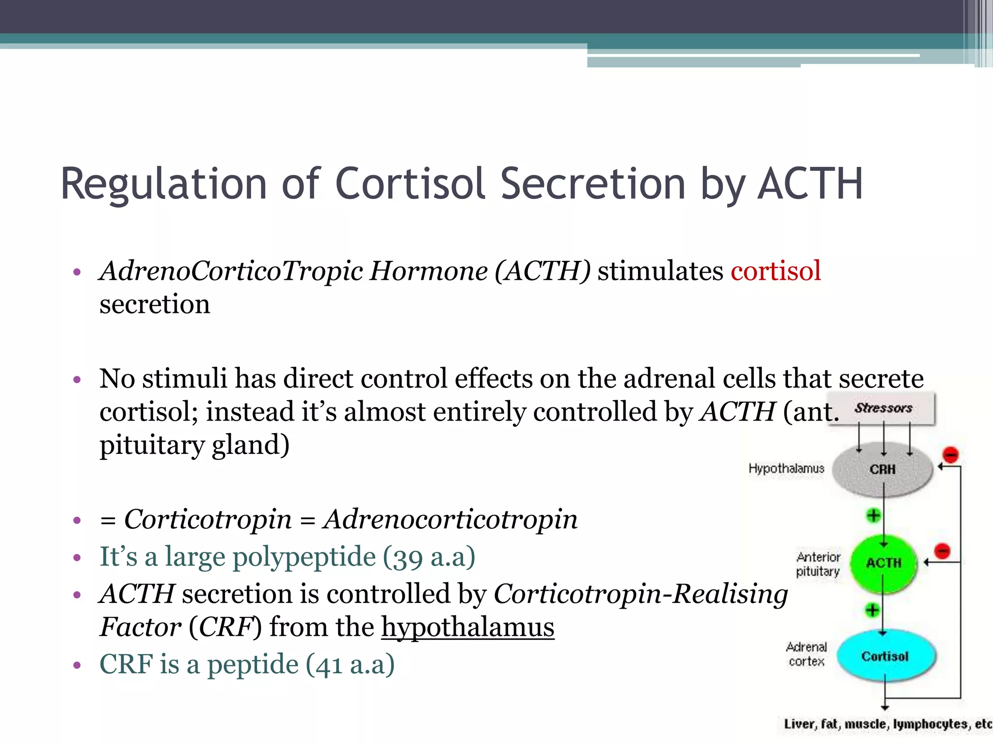 adrenocorticalhormones-150813193623-lva1-app6892 (1).pdf