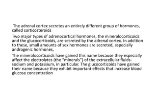 Adrenocortical Hormones.pptx