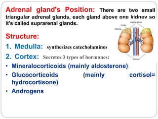 Adrenocortical hormones edited | PPTX