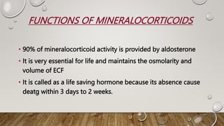 Adrenocortical Hormones presentation.pptx