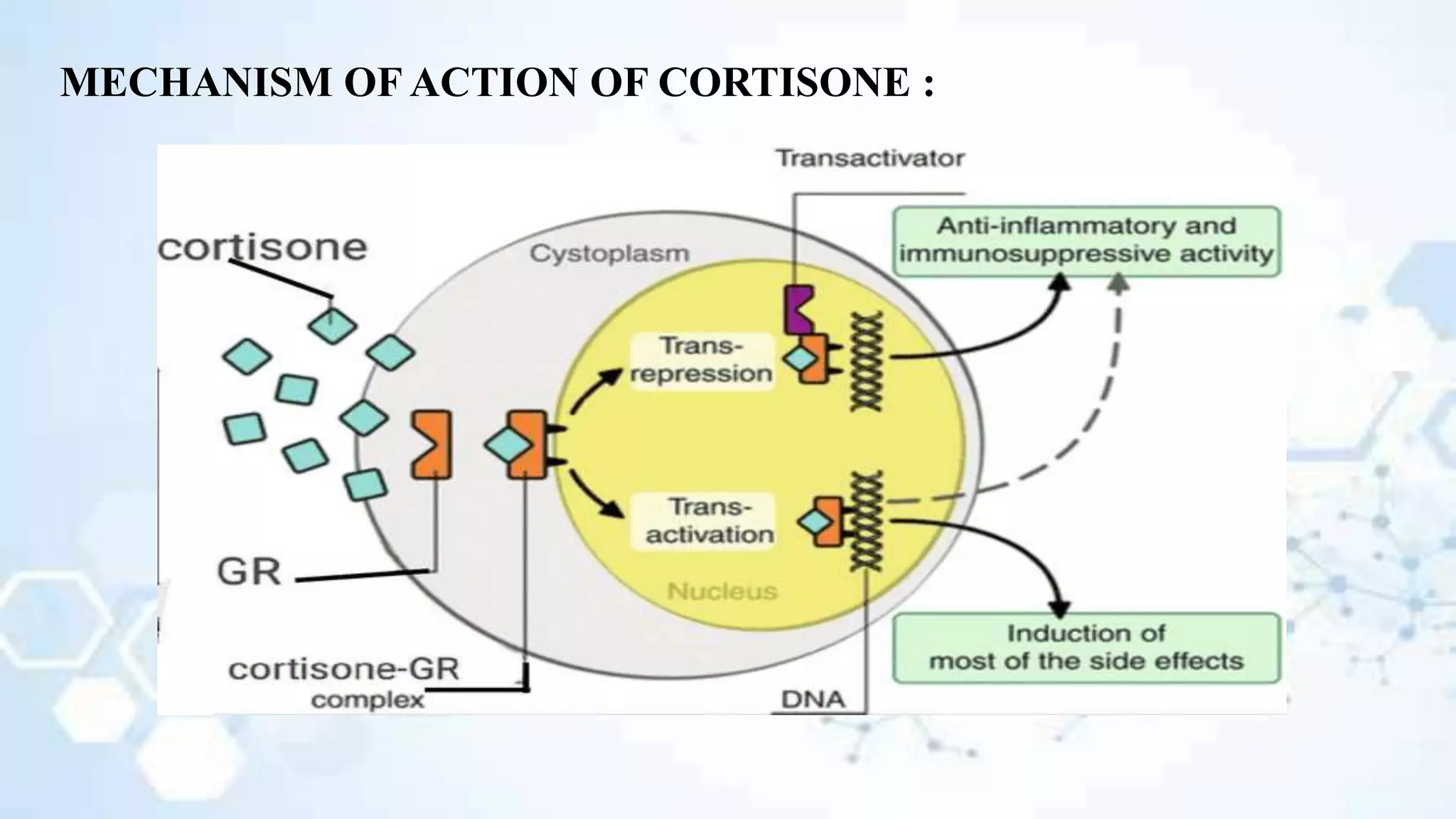 Adrenocorticoids and chemistry of Vitamin- D.pptx