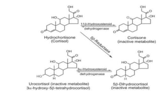 Adrenocorticoids and chemistry of Vitamin- D.pptx