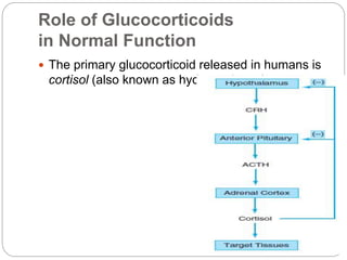 Adrenocorticosteroids.pptx