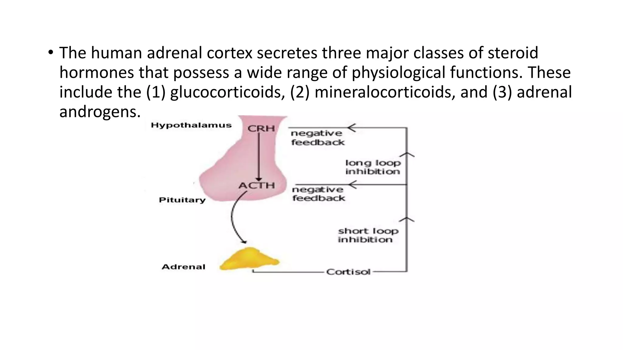 ADRENOCORTICOTROPHIC HORMONE.pptx