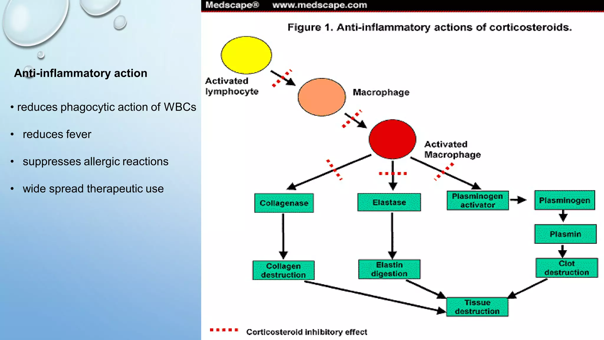 Adrenocorticotropic hormones | PDF