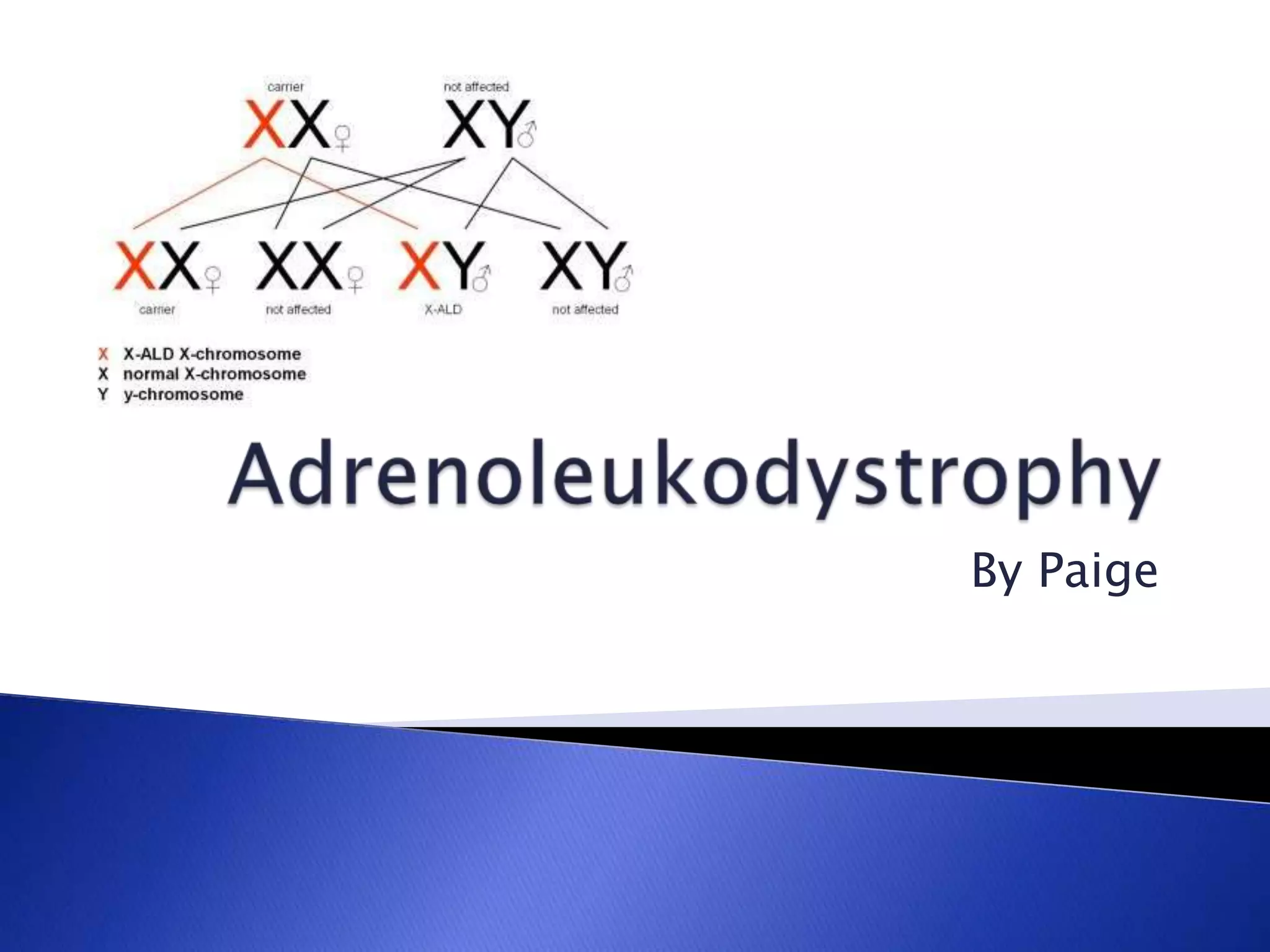 Adrenoleukodystrophy | PPTX